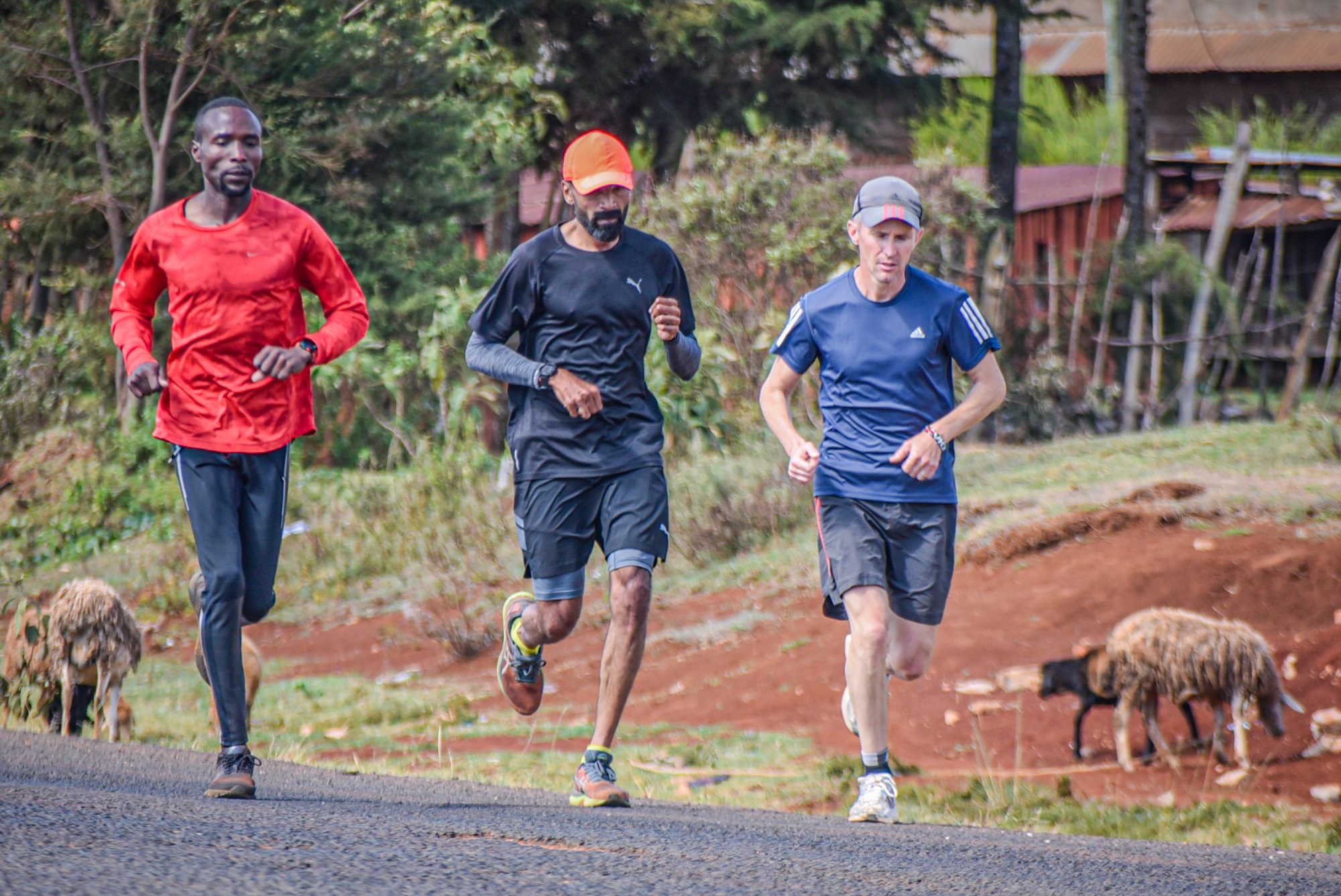 Elevate your performance: Top 10 tips for high altitude training ...
